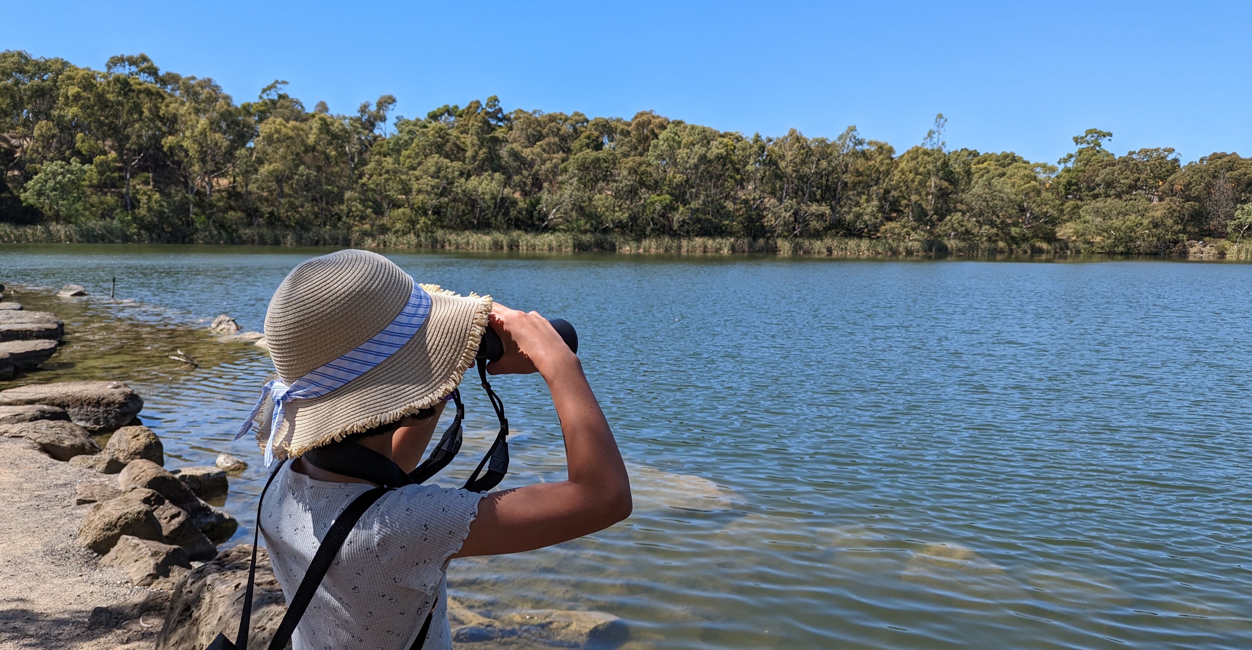 Animal Spotting | hike with kids
